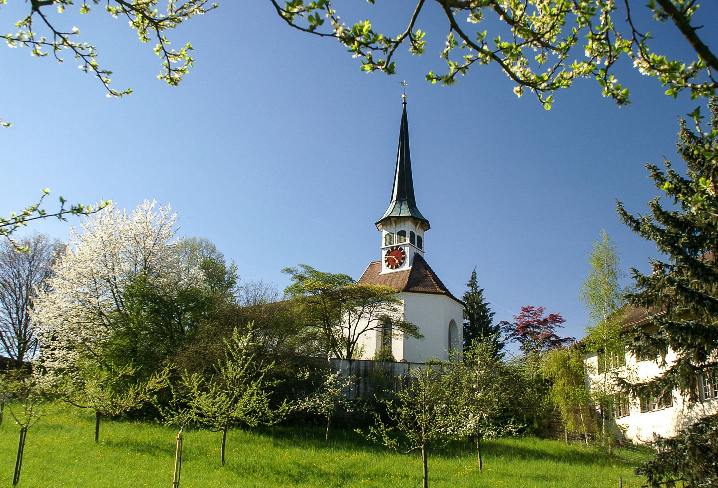 Gemeinde Seuzach Gemeinde in Seuzach - Öffnungszeiten | Adresse | Telefon