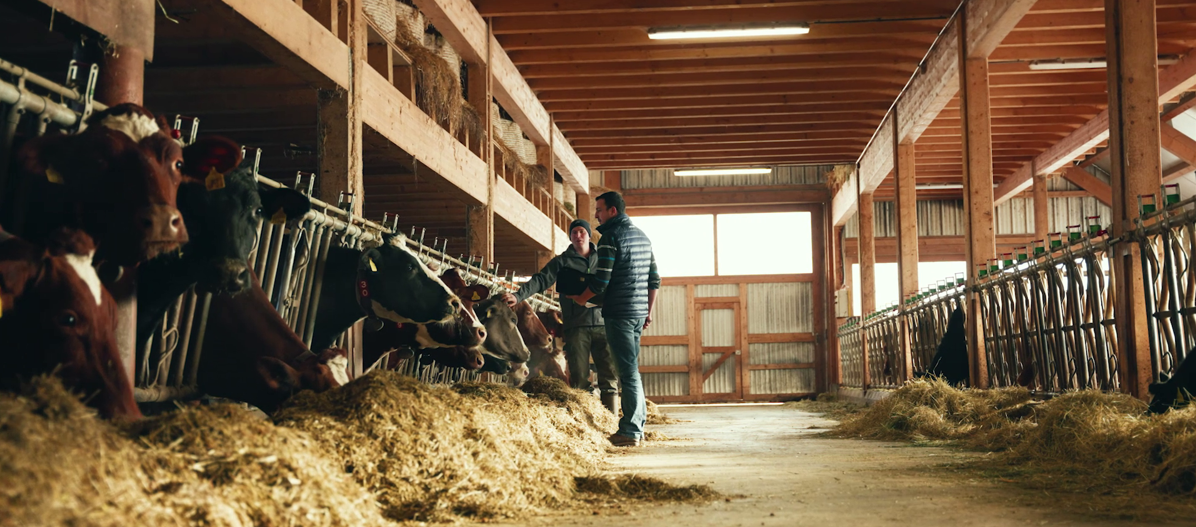 UFA AG - Futtermittel in Herzogenbuchsee | local.ch